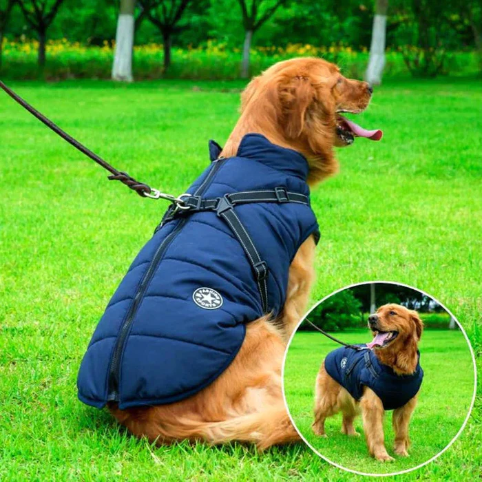 Waterproof Winter Dog Jacket - Sherpa-Fleece Lined - Built-in Harness – Zoolase