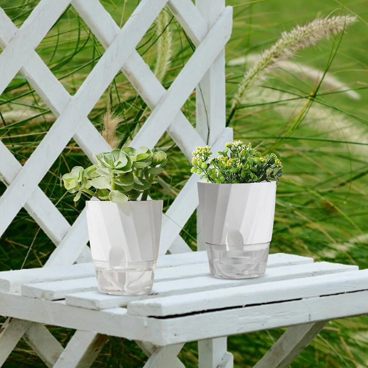 Self Watering Planter – Zoolase