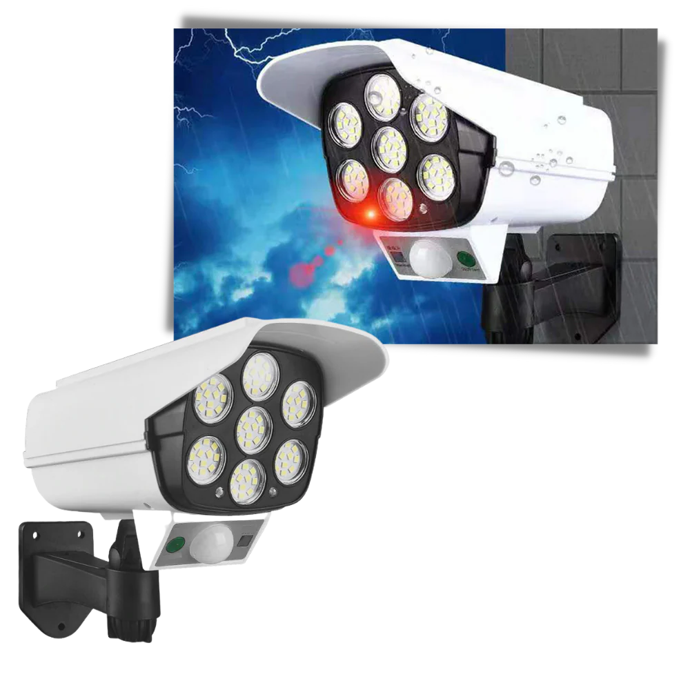 Solar Motion Sensor LED Lamp – Zoolase