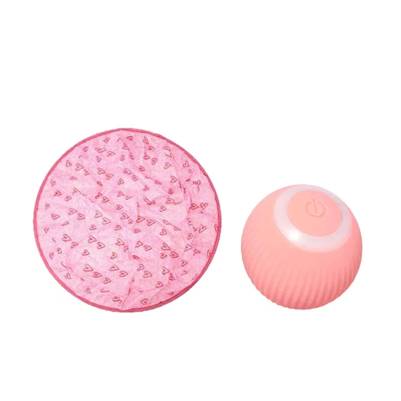 2 in 1 Simulated Interactive Hunting Cat Toy – Zoolase