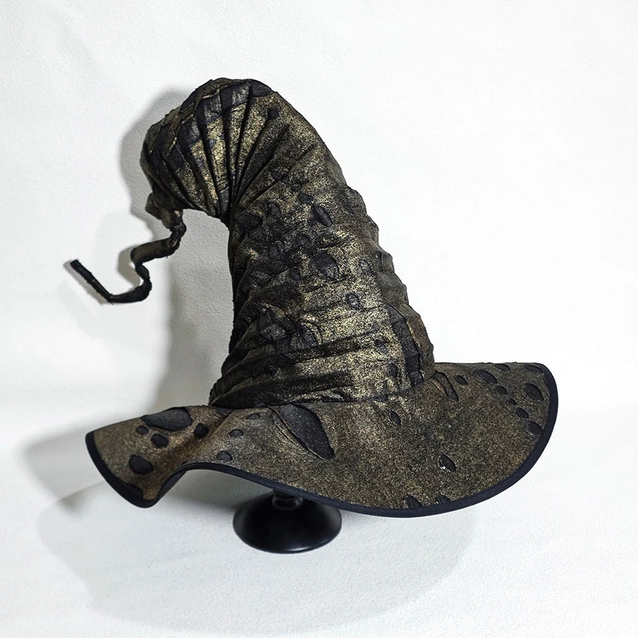 Classic Wide Brim Witch Hat for Halloween – Zoolase