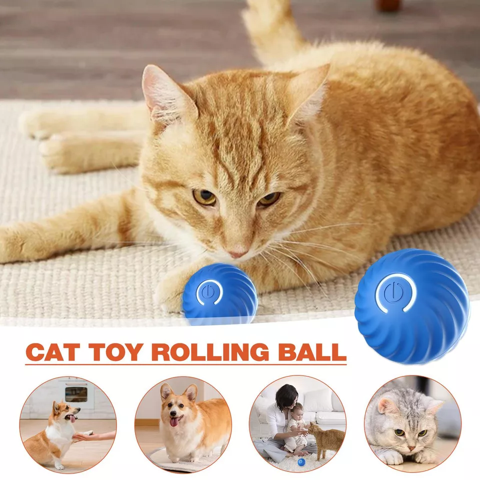 Active Rolling Ball Anti-Anxiety Automatic Moving Ball – Zoolase